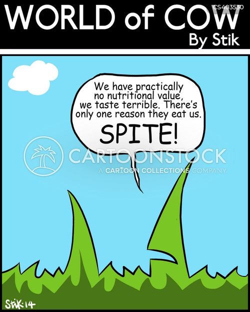 Spiteful Cartoons and Comics - funny pictures from CartoonStock