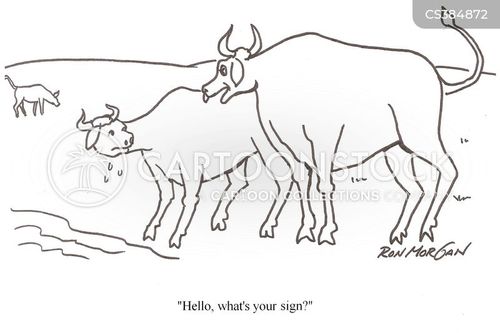Taurus Cartoons and Comics - funny pictures from CartoonStock