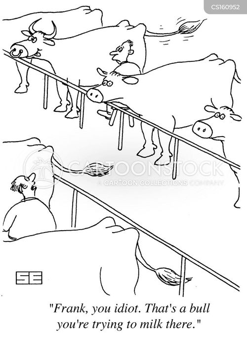 Stud Service Cartoons and Comics - funny pictures from CartoonStock