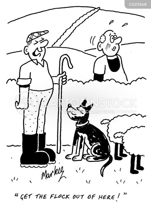 Angry Flock Cartoons and Comics - funny pictures from CartoonStock