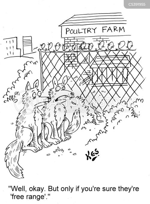 Chasing Chickens Cartoons and Comics - funny pictures from CartoonStock