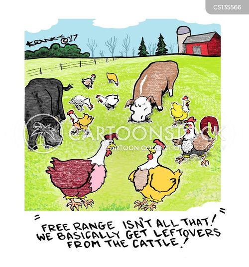 Free Range Farms Cartoons and Comics - funny pictures from CartoonStock