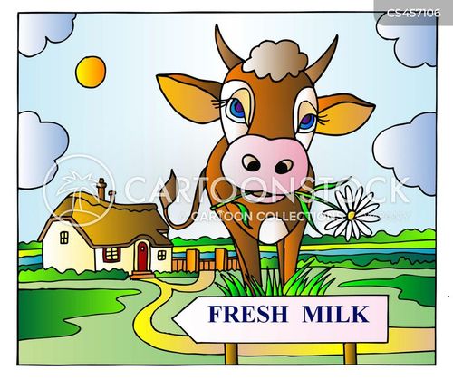 Fresh Milk Cartoons and Comics - funny pictures from CartoonStock