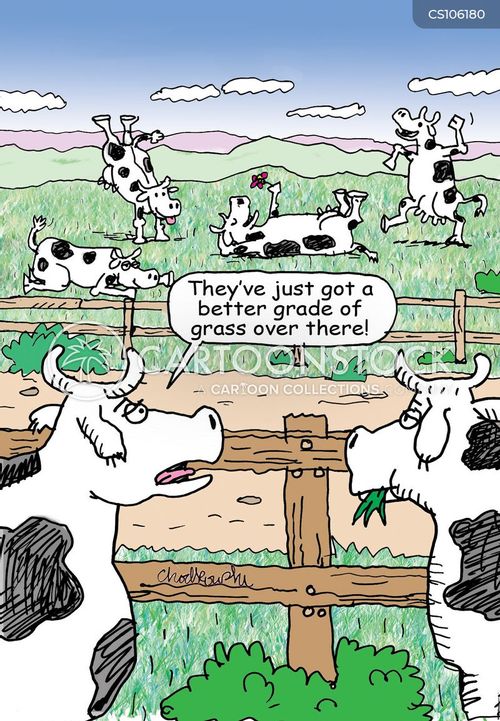 Grass Is Always Greener Cartoons and Comics - funny pictures from ...