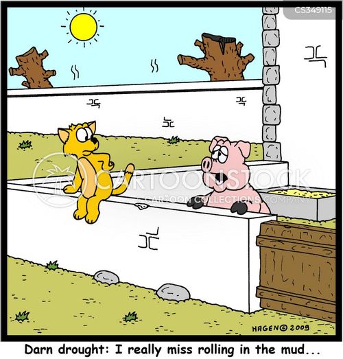 Irrigate Cartoons and Comics - funny pictures from CartoonStock