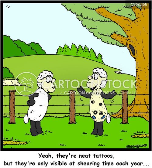 Woolly Sheep Cartoons and Comics - funny pictures from CartoonStock