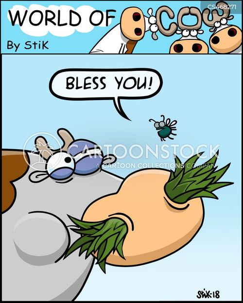 Pollen Allergy Cartoons and Comics - funny pictures from CartoonStock