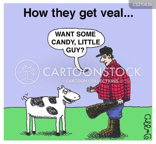 Veal Cartoons and Comics - funny pictures from CartoonStock