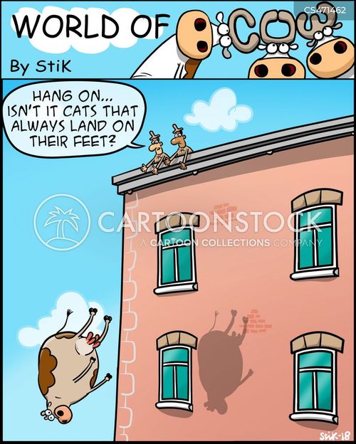 Land On Her Feet Cartoons and Comics - funny pictures from CartoonStock