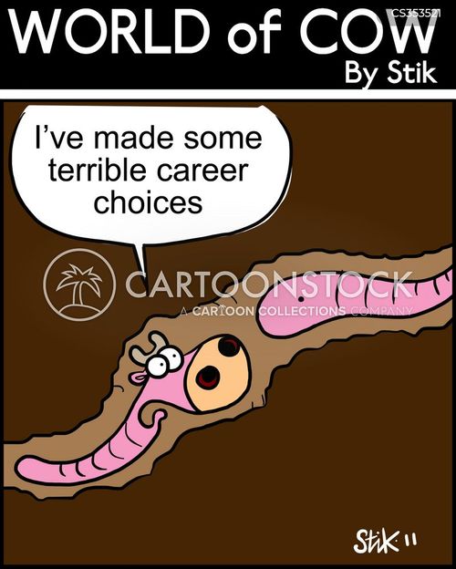 Career Choices Cartoons and Comics - funny pictures from CartoonStock