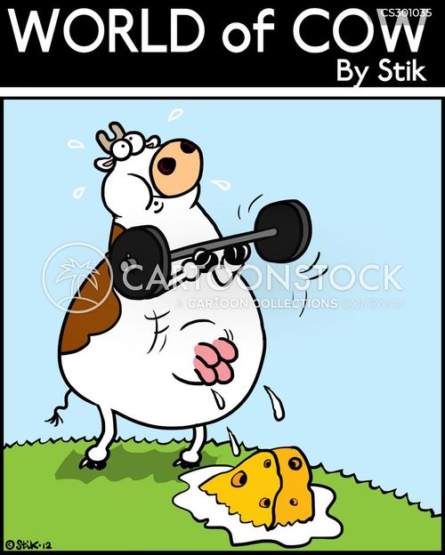 Animal Workout Cartoons and Comics - funny pictures from CartoonStock