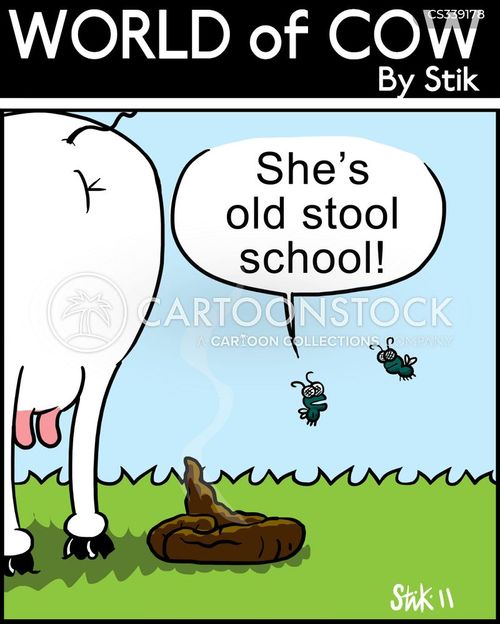 Cow Pools Cartoons and Comics - funny pictures from CartoonStock