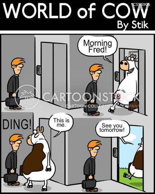Worldof Cow Cartoons and Comics - funny pictures from CartoonStock