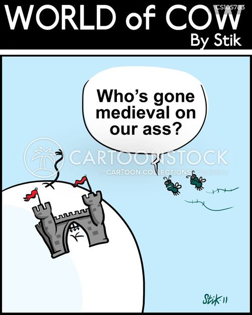 Medieval Castle Cartoons and Comics - funny pictures from CartoonStock