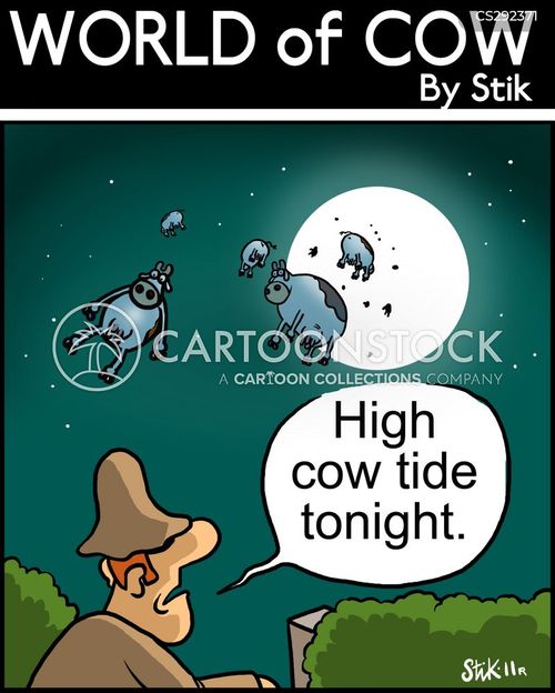 Animal Regulations Cartoons and Comics - funny pictures from CartoonStock