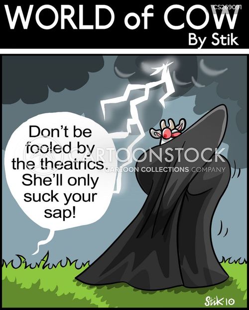 Sap Cartoons and Comics - funny pictures from CartoonStock