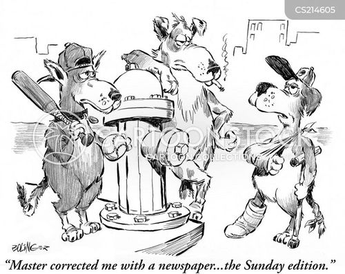 Sunday Papers Cartoons and Comics - funny pictures from CartoonStock