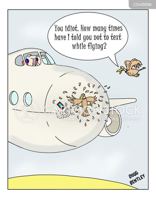 Driving Distraction Awareness Cartoons and Comics - funny pictures from ...