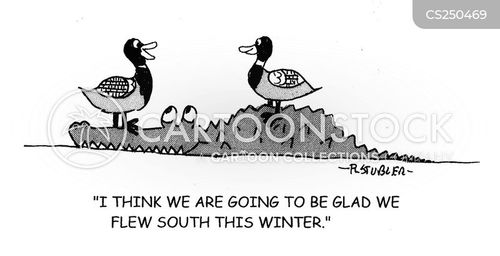 Escaping Risk Cartoons and Comics - funny pictures from CartoonStock