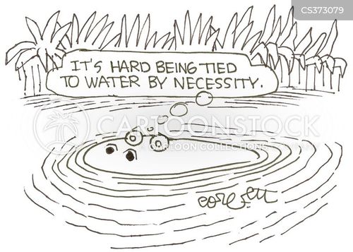 Water Living Cartoons and Comics - funny pictures from CartoonStock