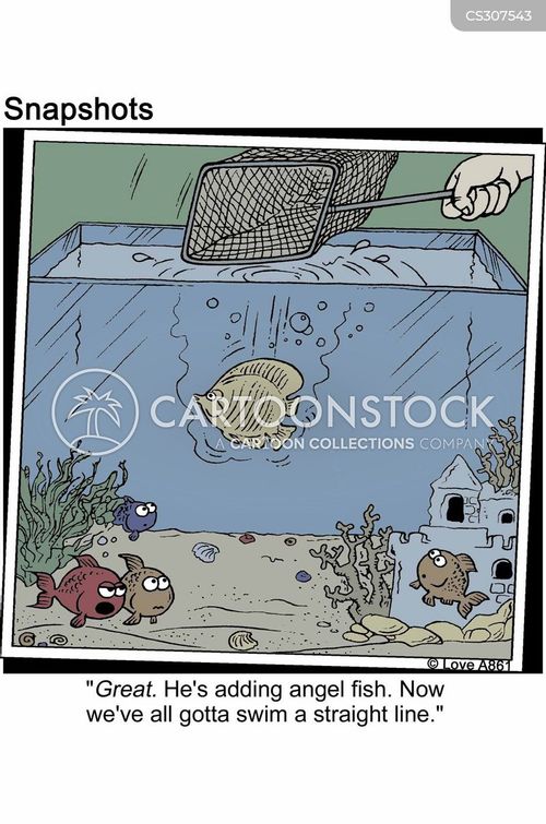 Angel Fishes Cartoons and Comics - funny pictures from CartoonStock
