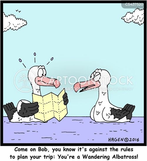 Albatrosses Cartoons and Comics - funny pictures from CartoonStock