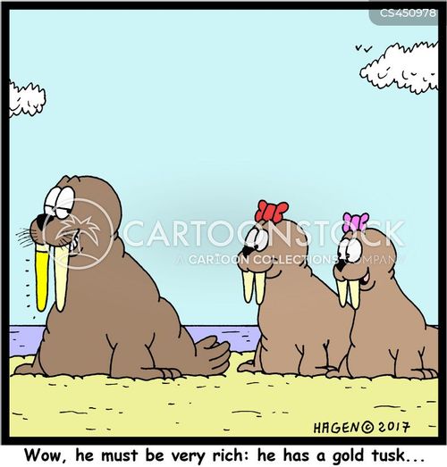 Walrus Cartoons and Comics - funny pictures from CartoonStock