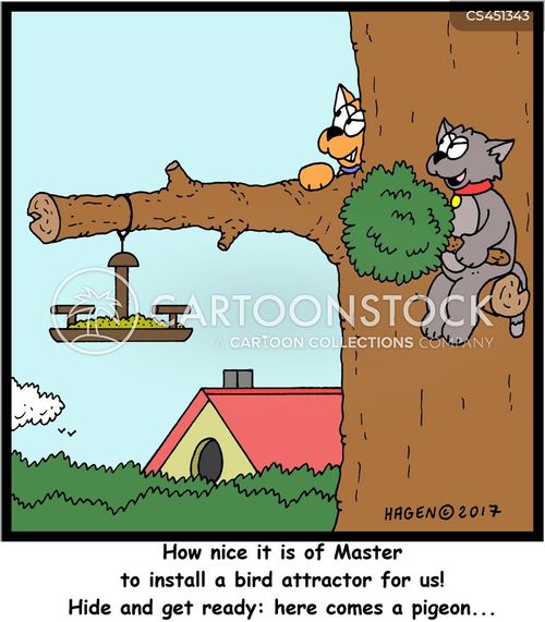 Trapping Birds Cartoons and Comics - funny pictures from CartoonStock