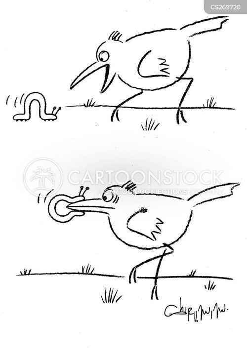 Birds Eating Worms Cartoons and Comics - funny pictures from CartoonStock