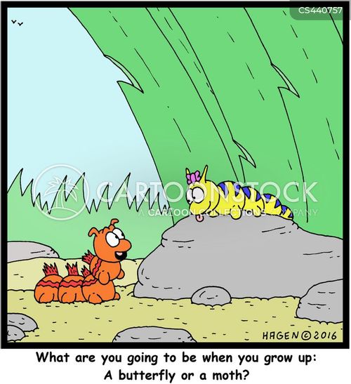 Moth Cartoons and Comics - funny pictures from CartoonStock