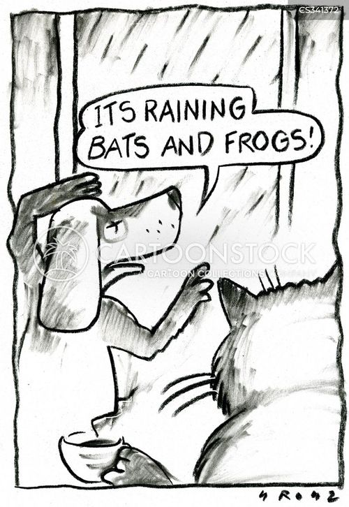 Raining Cats And Dogs Cartoons and Comics - funny pictures from ...