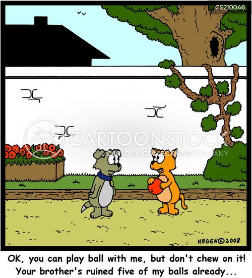 Chewed Food Cartoons and Comics - funny pictures from CartoonStock