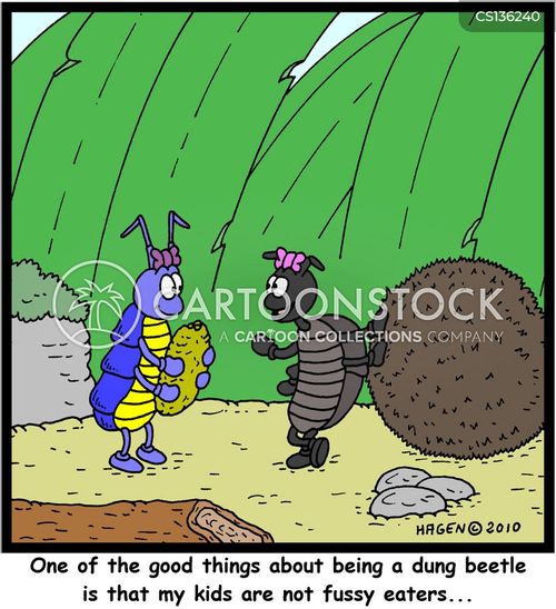 Click Beetle Cartoons and Comics - funny pictures from CartoonStock