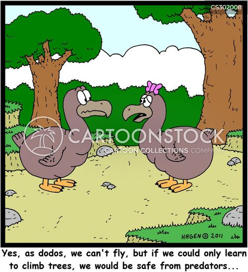 Flightless Cartoons and Comics - funny pictures from CartoonStock