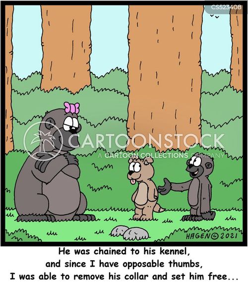 American Kennel Club (akc) Cartoons and Comics - funny pictures from ...