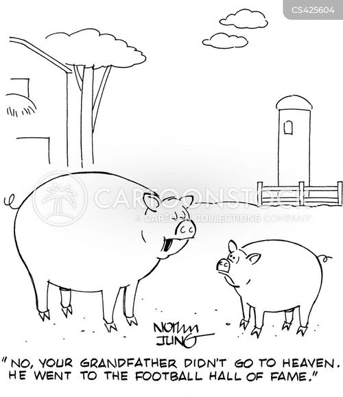Pigskin Cartoons and Comics - funny pictures from CartoonStock