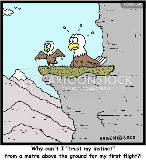 First Flight Cartoons and Comics - funny pictures from CartoonStock