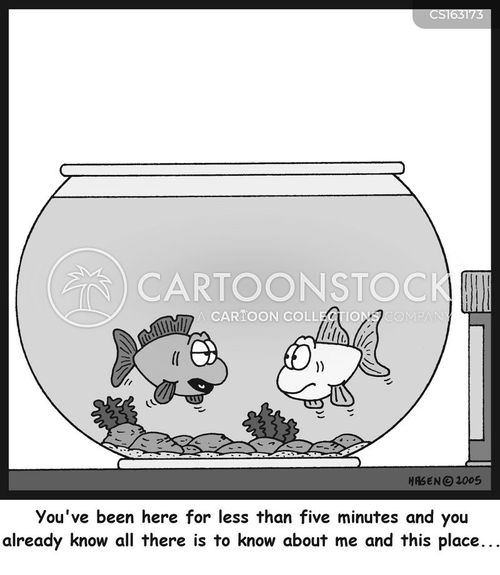 Swim In A Fishbowl Cartoons and Comics - funny pictures from CartoonStock