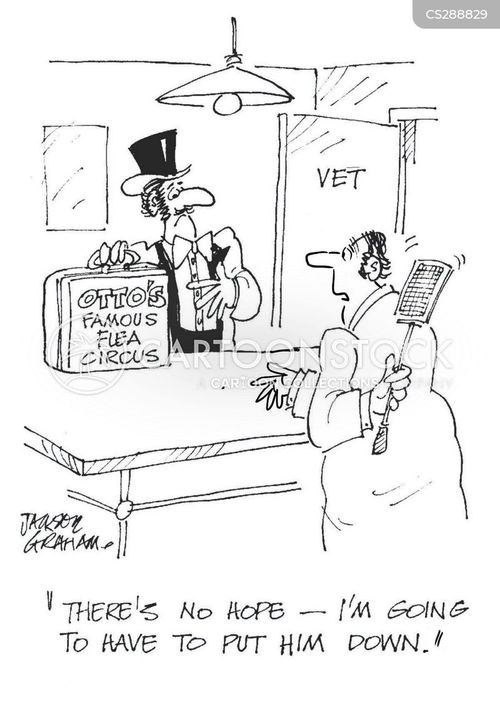 Flea Circus Cartoons and Comics - funny pictures from CartoonStock