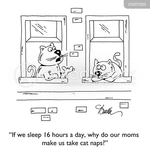 Why Cats Sleep Cartoons and Comics - funny pictures from CartoonStock