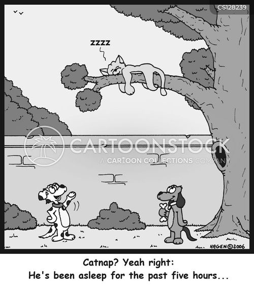 Catnapped Cartoons and Comics - funny pictures from CartoonStock