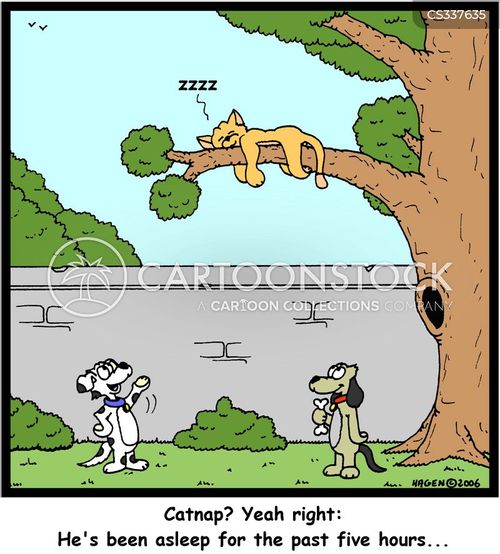 Catnapped Cartoons and Comics - funny pictures from CartoonStock