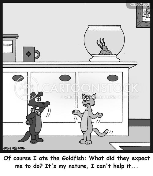 Dogfish Cartoons and Comics - funny pictures from CartoonStock