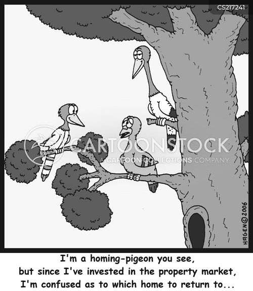Homing Cartoons and Comics - funny pictures from CartoonStock