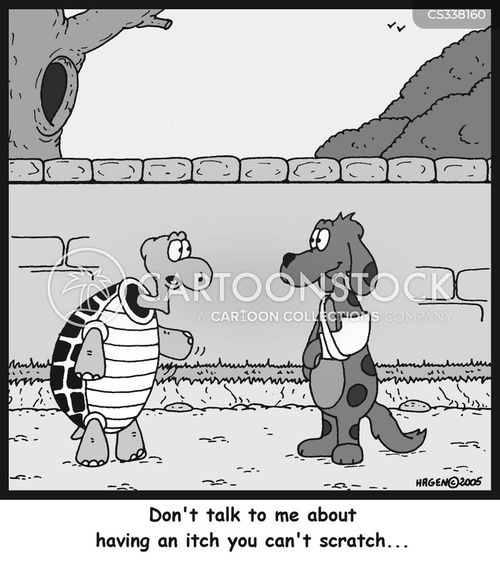 Tortoiseshell Cartoons and Comics - funny pictures from CartoonStock