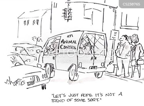 Stray Dog Cartoons and Comics - funny pictures from CartoonStock