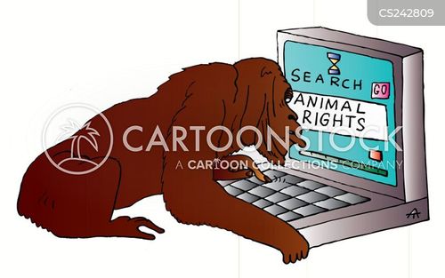 Image Search Cartoon Network