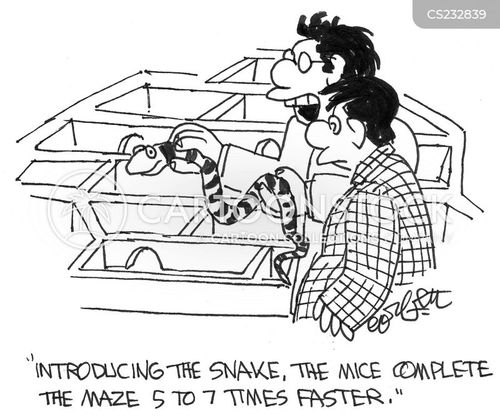 Threatening Animals Cartoons and Comics - funny pictures from CartoonStock