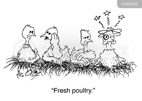 Barnyard Animals Cartoons and Comics - funny pictures from CartoonStock