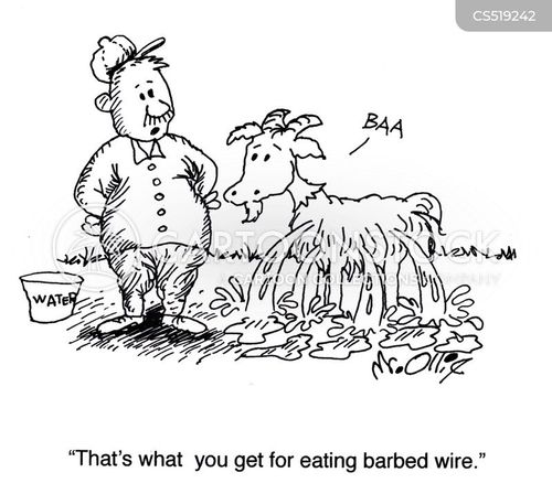 Barbed Wire Cartoons and Comics - funny pictures from CartoonStock